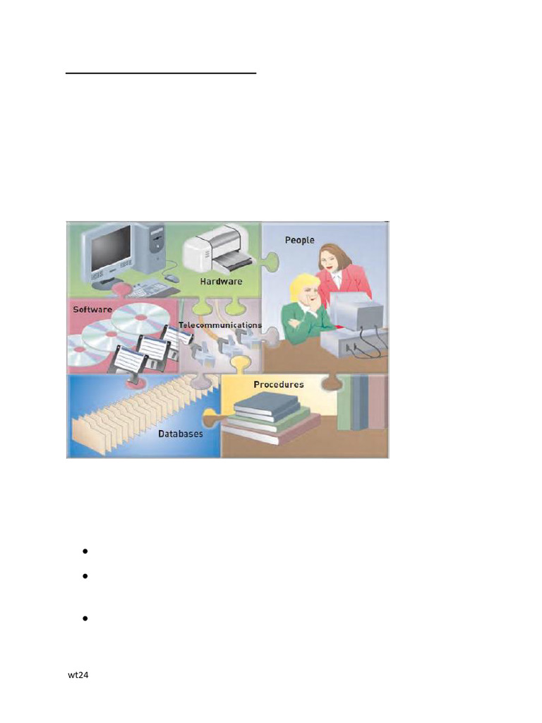 Overview of Business Information Systems | PDF | Computer Network ...