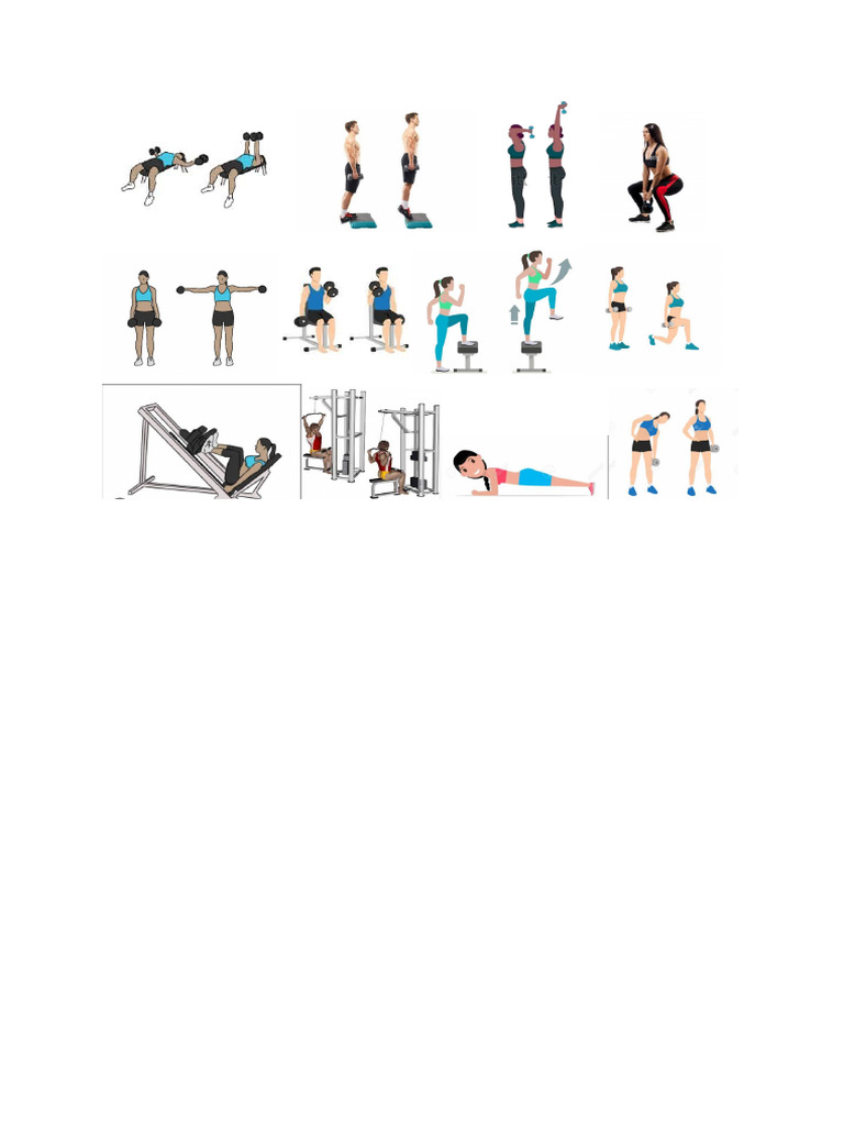 Eps Dessin Exo | PDF