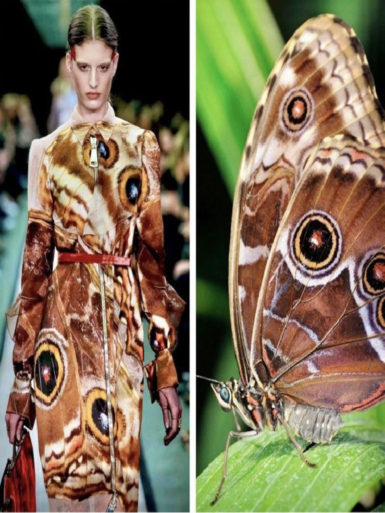 Fashion That Mimic Nature | PDF