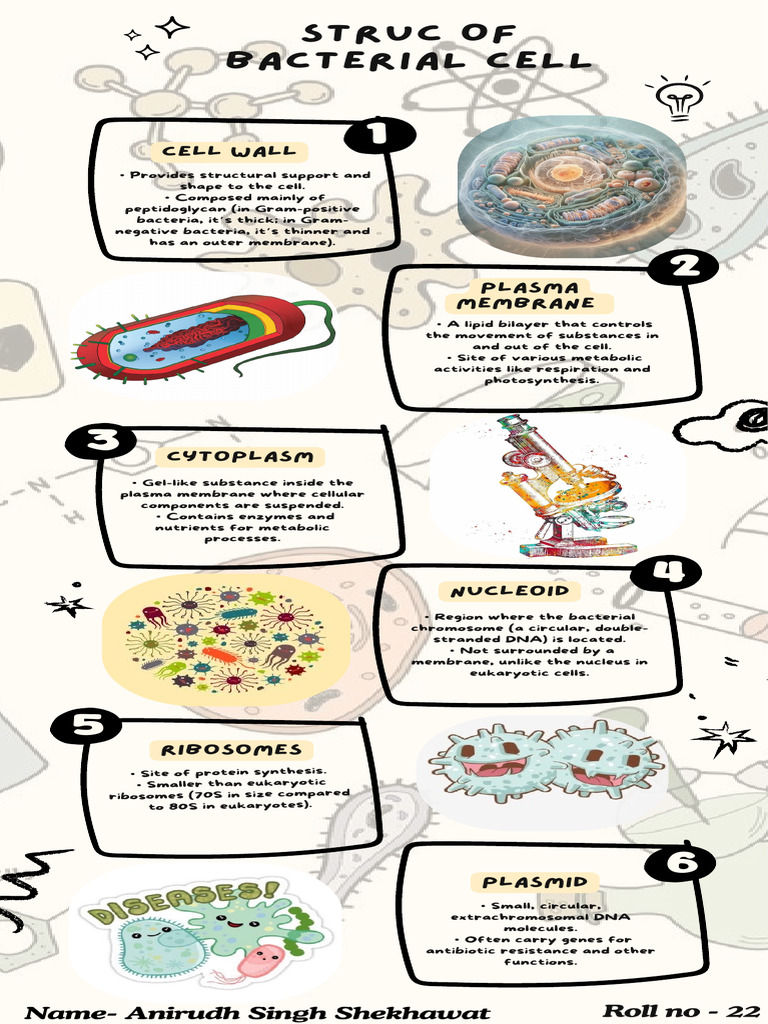 Multicolor Professional Chronological Timeline Infographic - PDF 2 ...