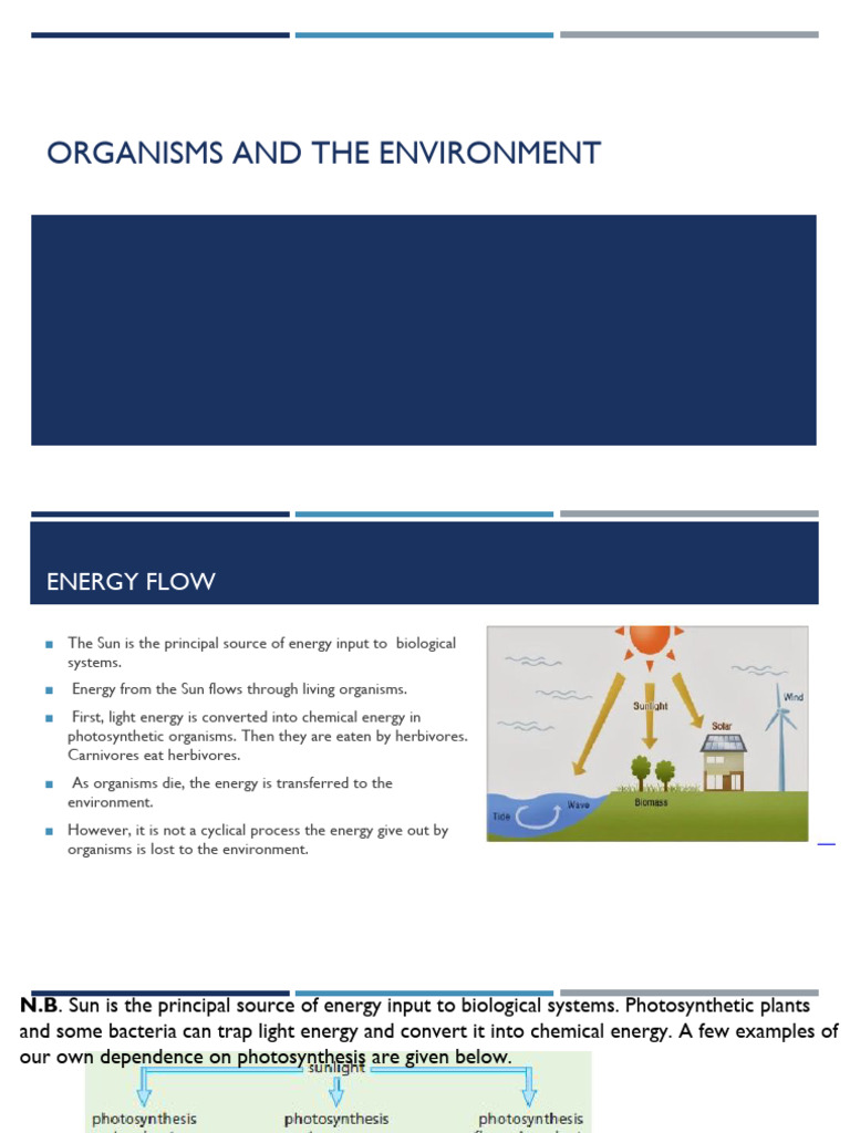 Organisms and Their Environment | PDF | Food Web | Foods