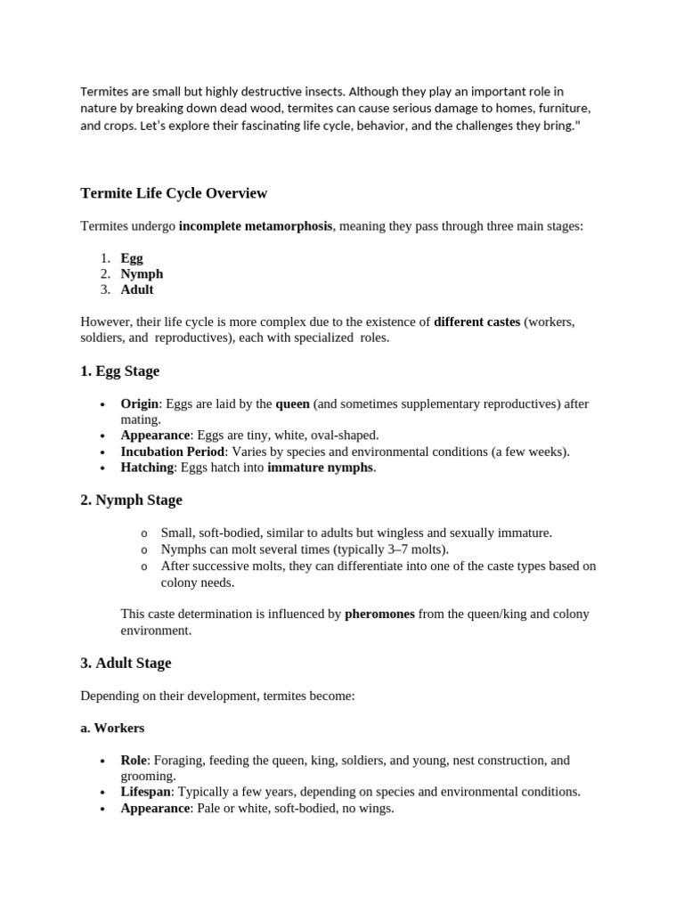 Termite Life Cycle Overview | PDF | Eusociality | Hexapoda