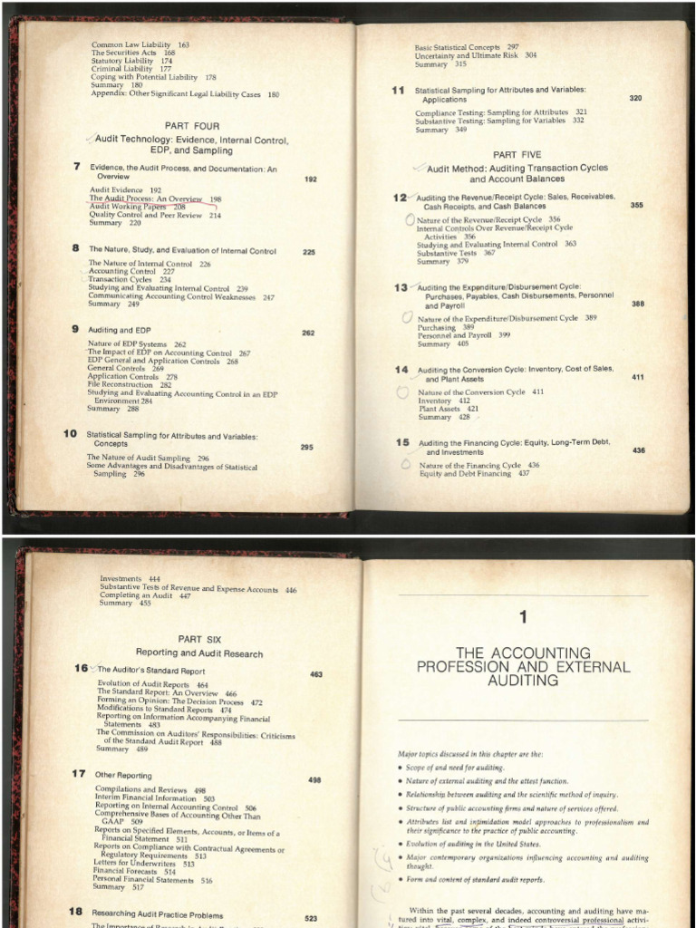 Audit ch1 David Ritchie | PDF
