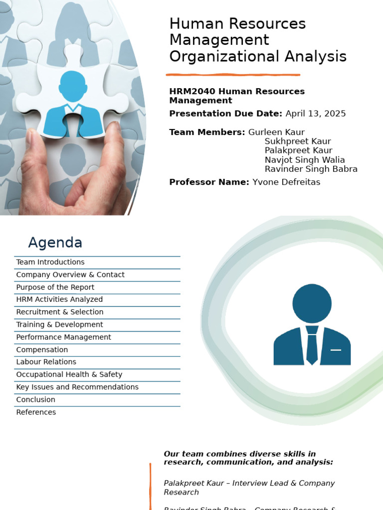 Team Organizational HRM Analysis | PDF | Human Resource Management | Compensation And Benefits