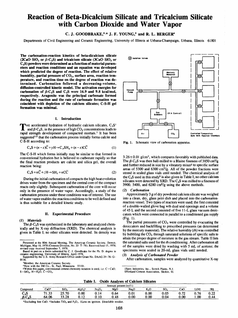 Carbonation Kinetics of Calcium Silicates | PDF | Chemical Reactions ...