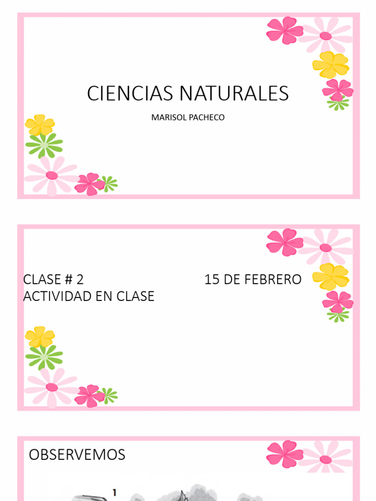 clase cn5_15-02 | PDF