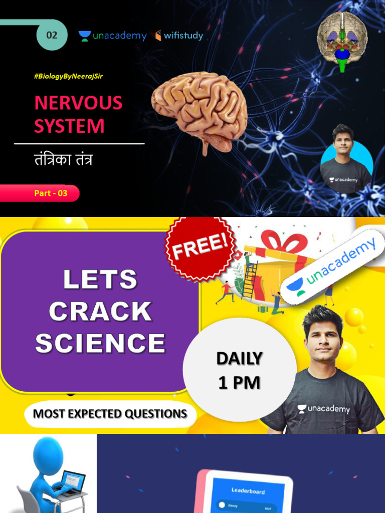 Nervous System - Part03 | PDF