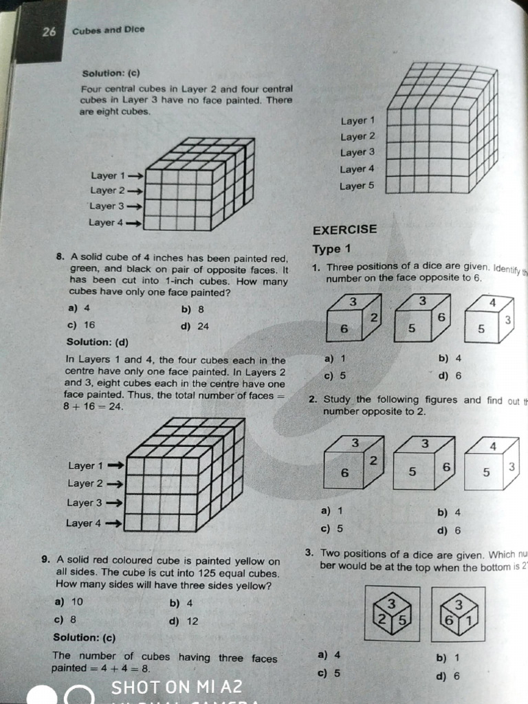 Cubes and Dice Problem Solutions | PDF