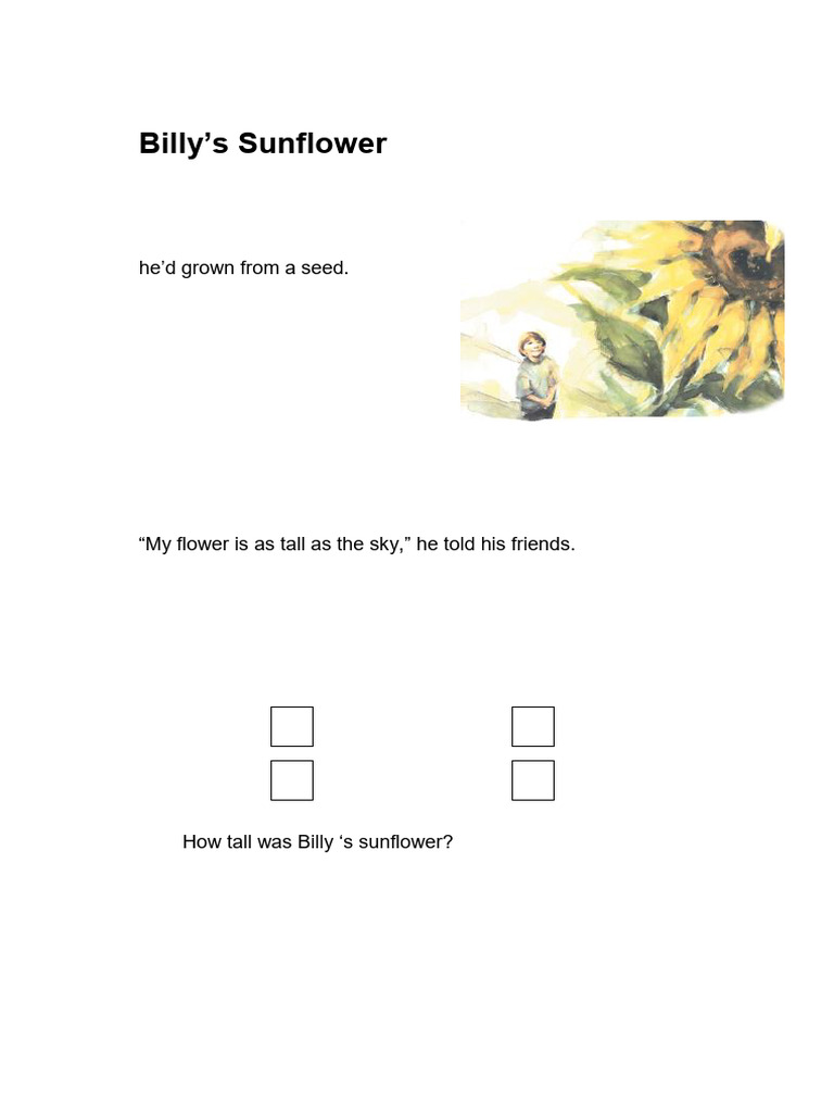 Y2 Reading Comprehension Billys Sunflower | PDF | Flowers
