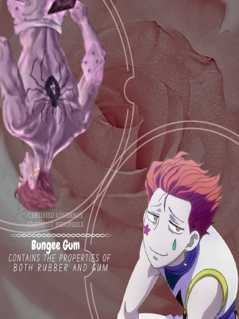 Hisoka Card | PDF