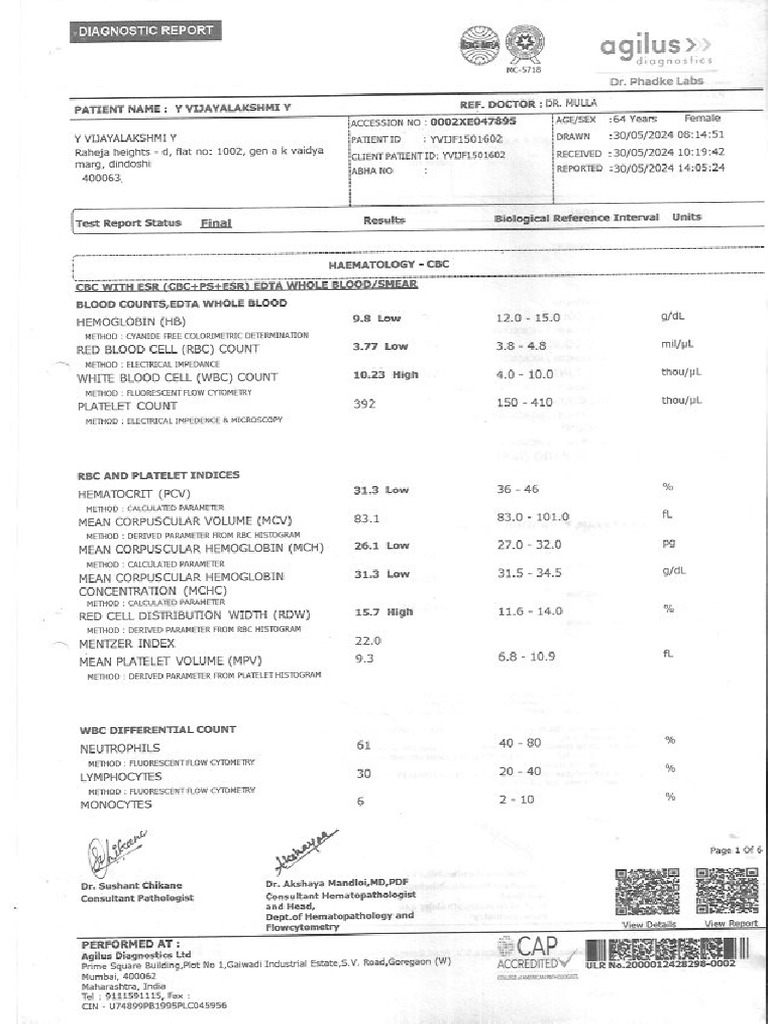 Blood Reports Vijayalakshmi 30:05:24 | PDF