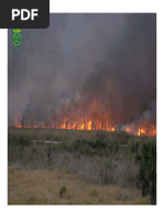 NWCG Task Book for Fire Positions | PDF | Incident Command System ...