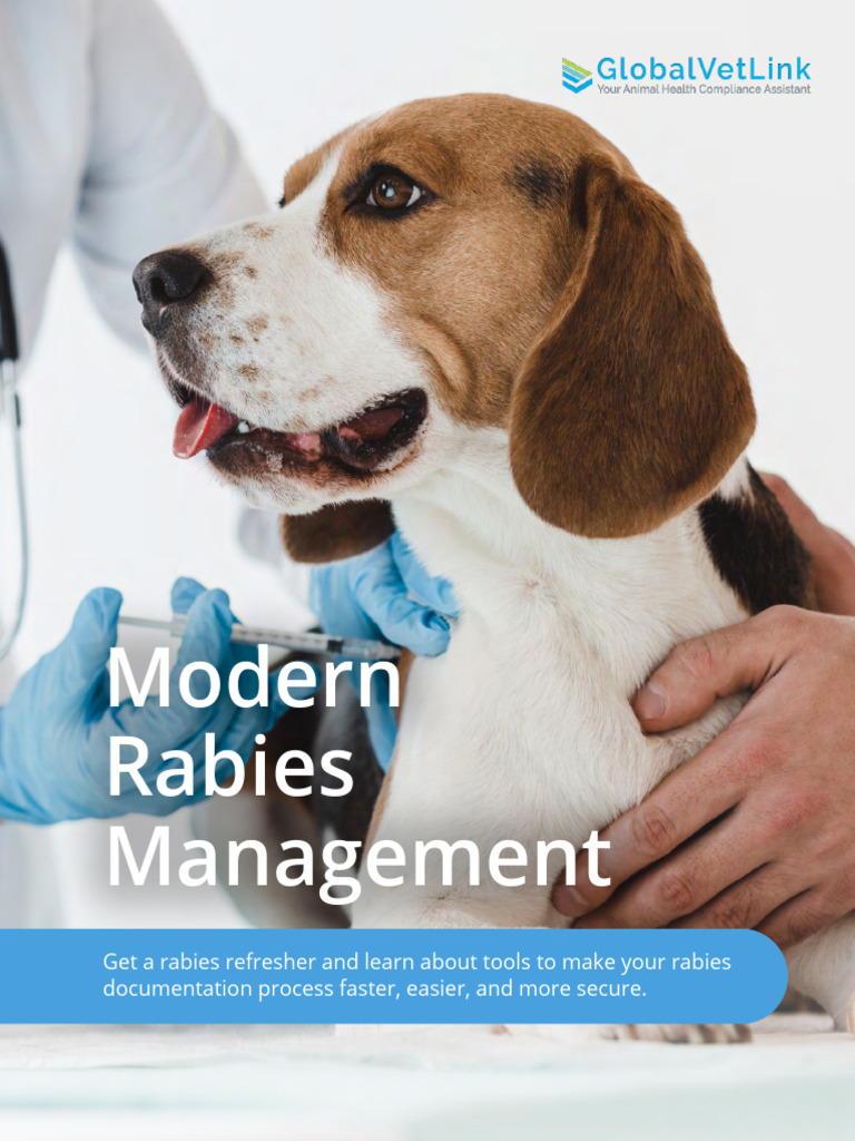 Modern Rabies Management Guide | PDF | Rabies | Medicine