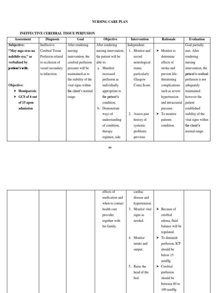 Nursing Care Plans for Stroke Pt | PDF | Somatosensory System | Perception