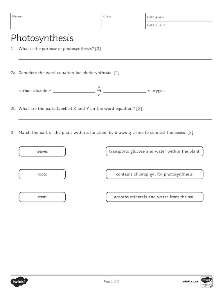 t3-sc-348-ks3-photosynthesis-homework-activity-sheet | PDF | Leaf ...