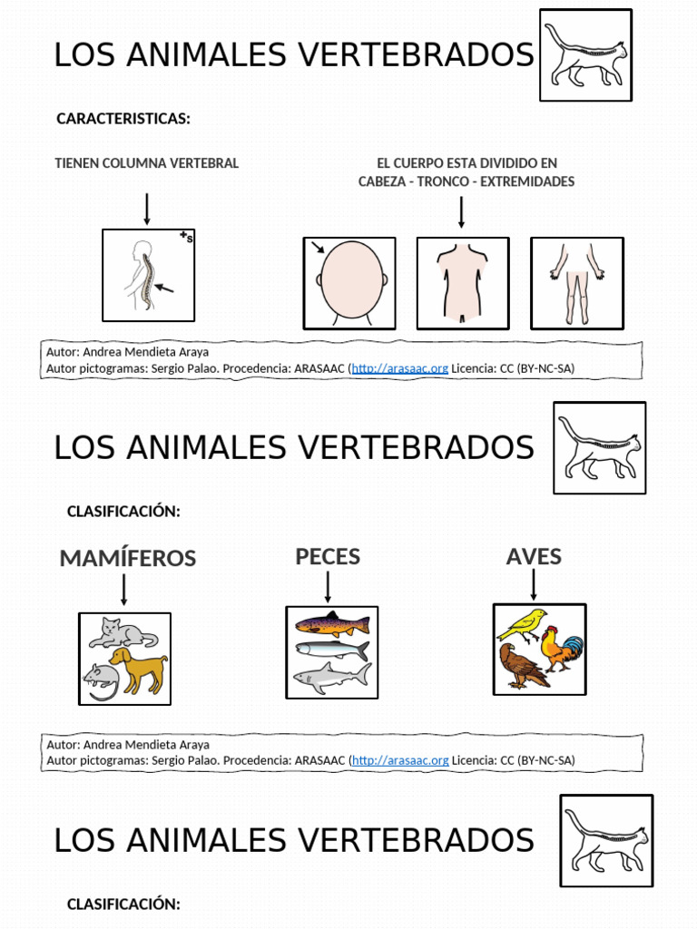 Clasificación de Animales Vertebrados | PDF | Reptil | Vertebrados