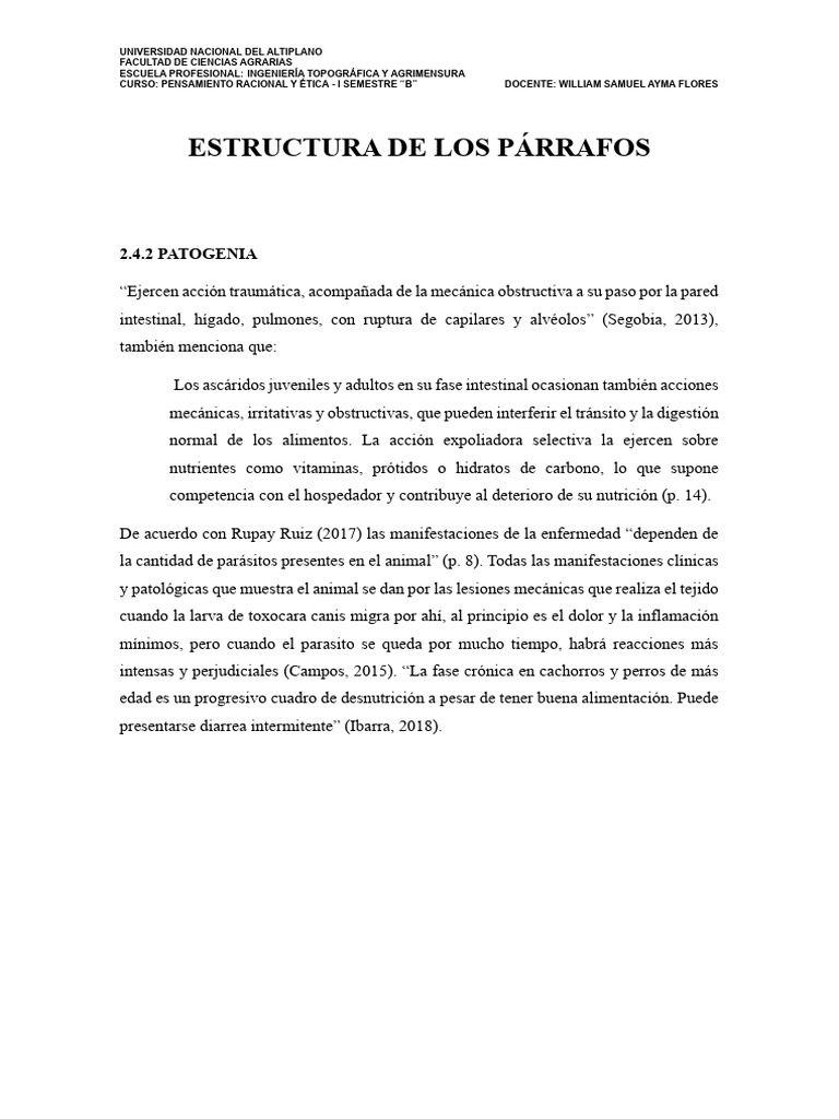 Estructura de Los Párrafos | PDF
