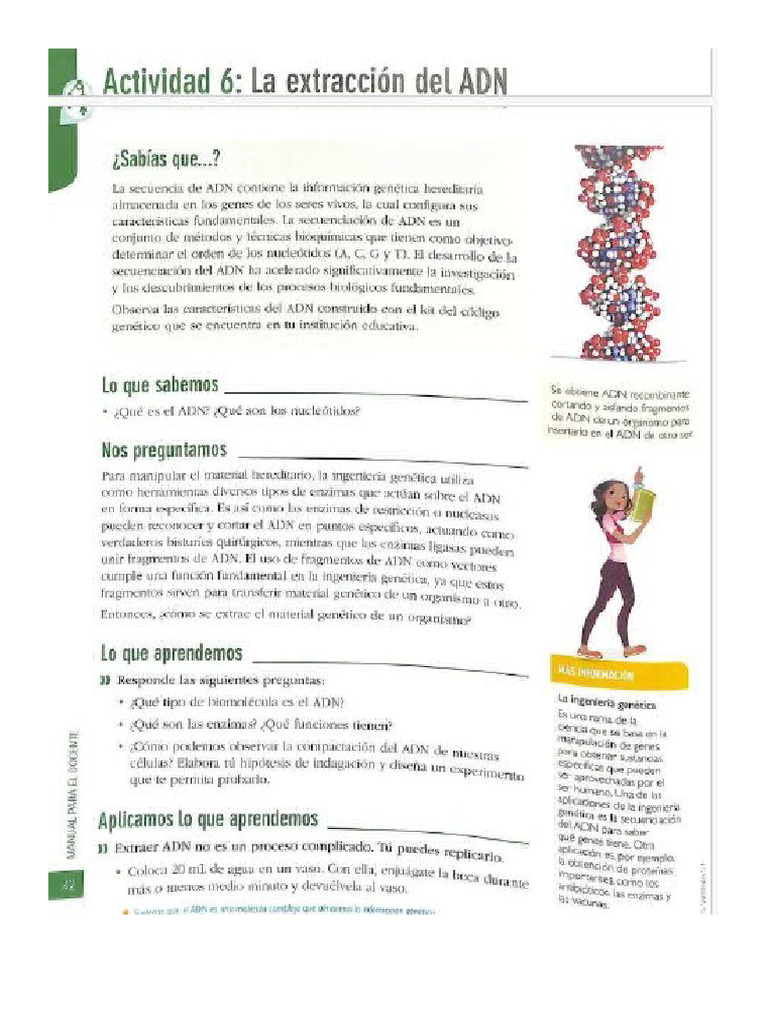 Extraccion Del ADN | PDF