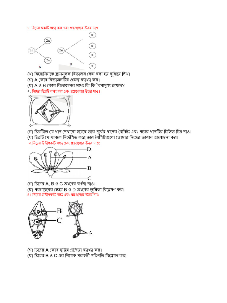 SSC 02 (3-11) PDF | PDF