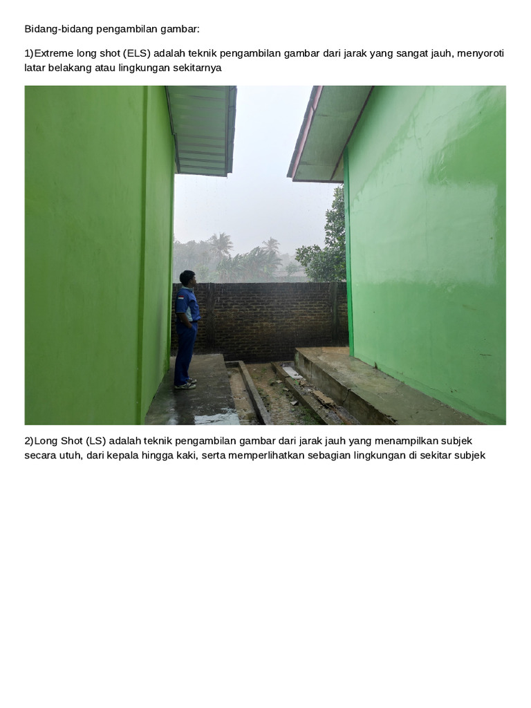 1) Extreme Long Shot (ELS) Adalah Teknik Pengambilan Gambar Dari Jarak ...