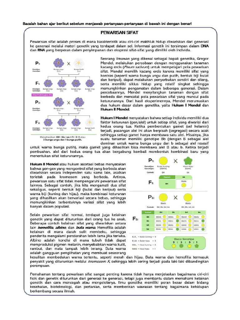 Soal AKM - Pewarisan Sifat (Latihan) | PDF