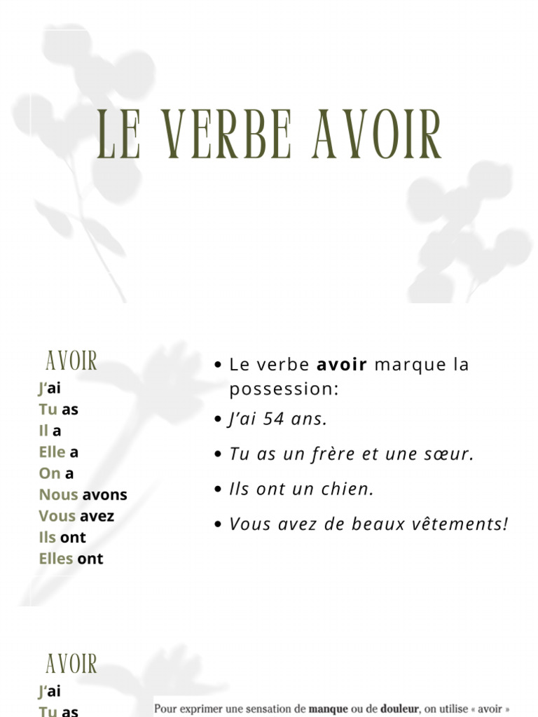 2-Le Verbe Avoir | PDF
