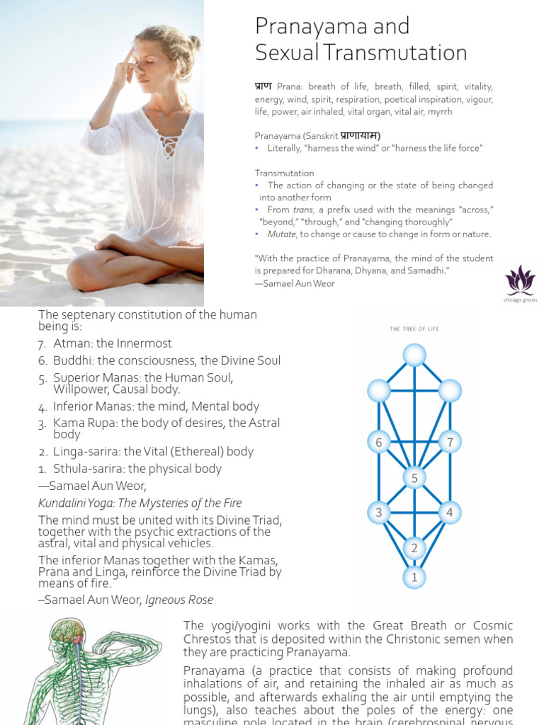 Gnostic Meditation 03 Pranayama and Sexual Transmutation | PDF | Prana ...