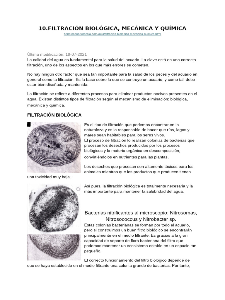 Filtracion Biologica J Mecanica y Quimica | PDF | Acuario | Filtración