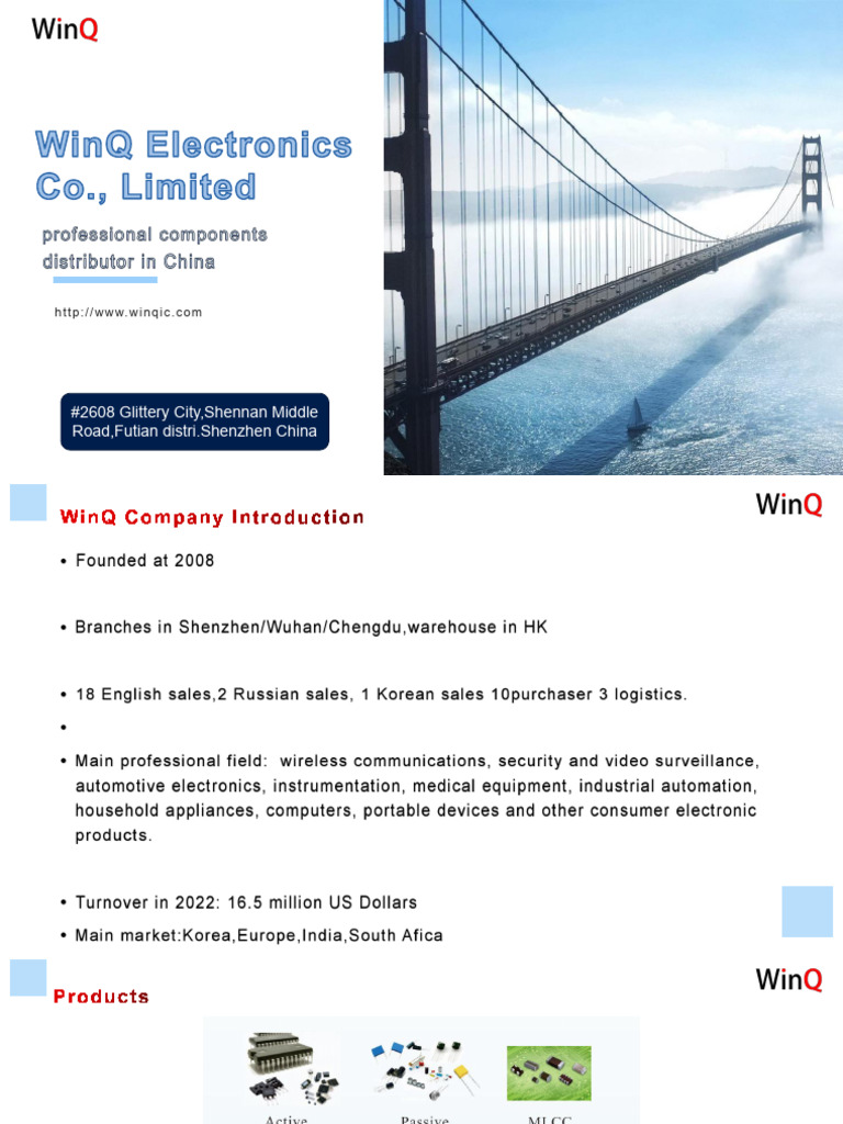 Winq Electronics_Chips | PDF