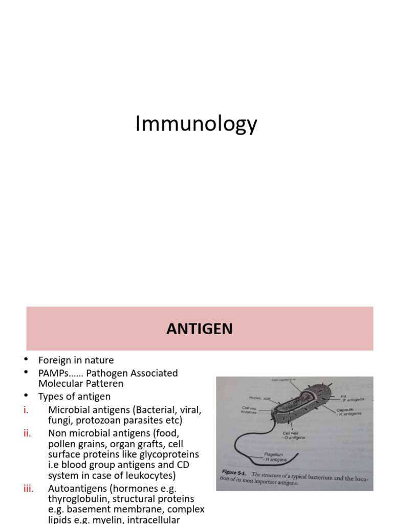 Immunology Brief | PDF