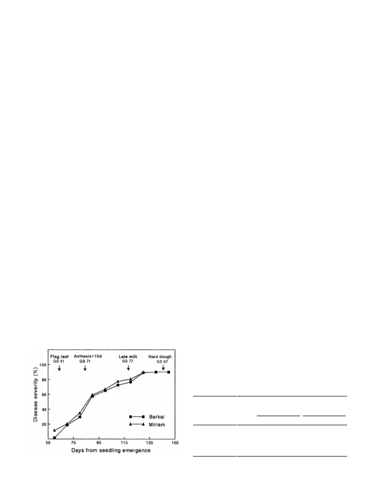 Impact of STB on Wheat Yield and Growth | PDF | Photosynthesis | Wheat