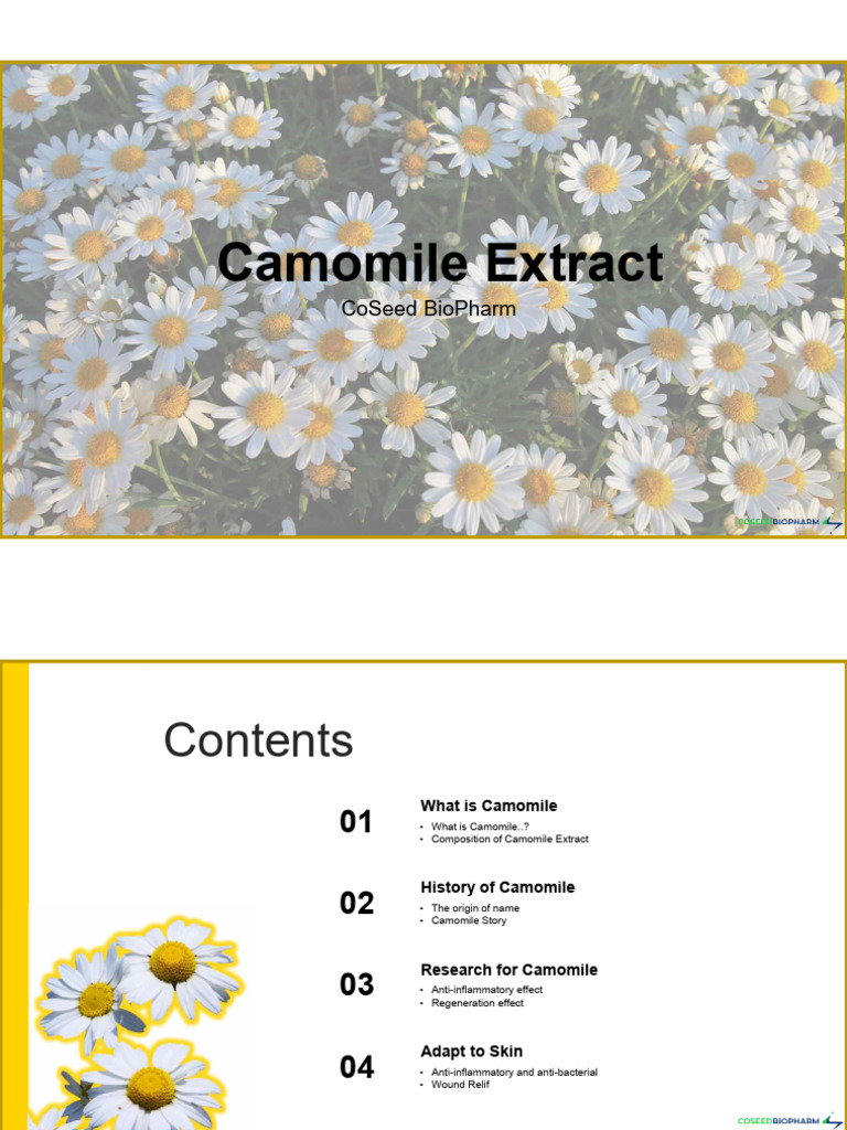 Benefits of Camomile Extract | PDF