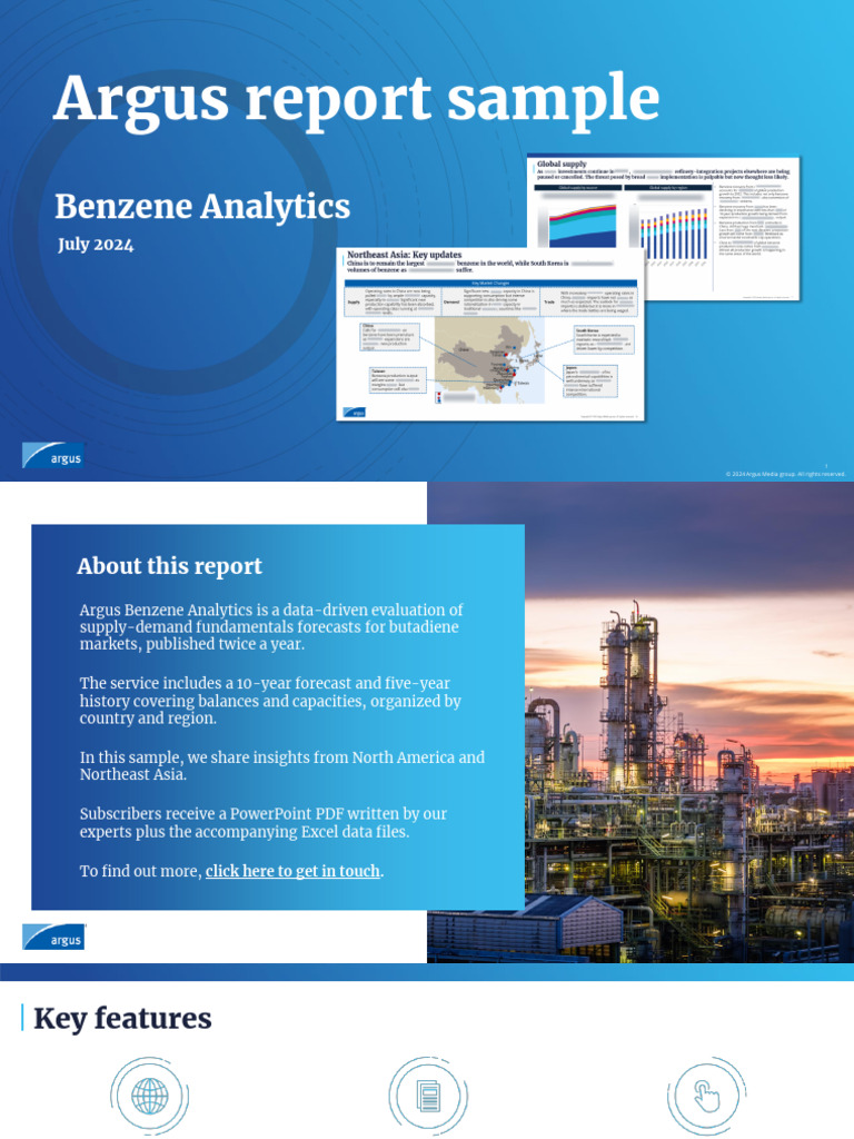 Argus Report Sample - Benzene Analytics - July 2024 | PDF | Oil ...