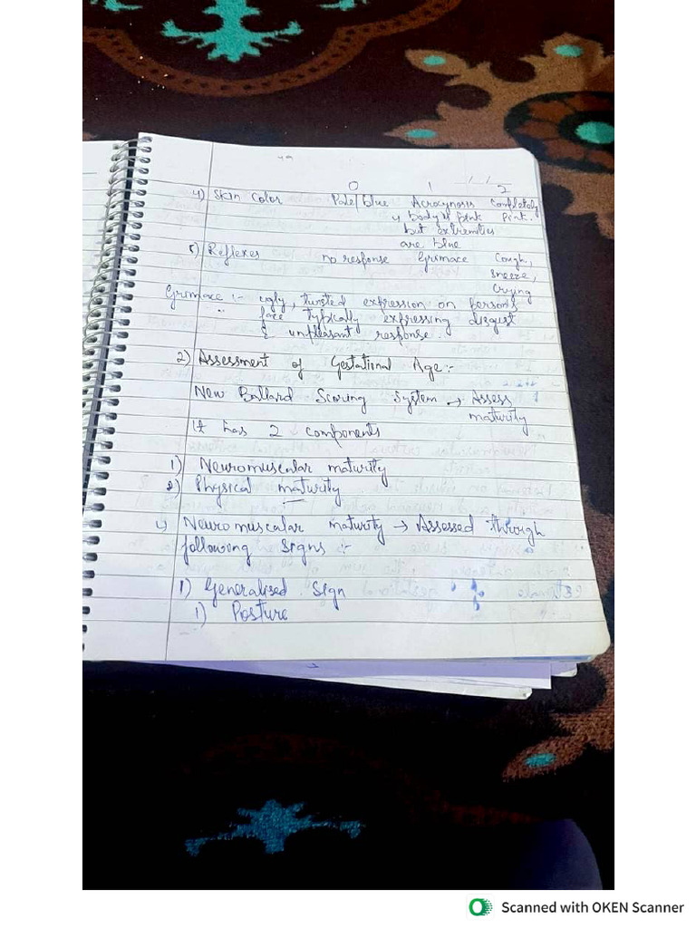 Ballard Scoring | PDF