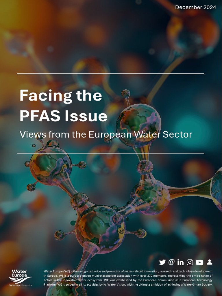 WE Position Paper PFAS 3 | PDF | Water | Pollution