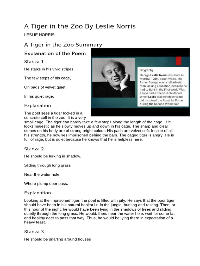 A Tiger in The Zoo by Leslie Norris NOTES Revised | PDF | Tiger | Zoo