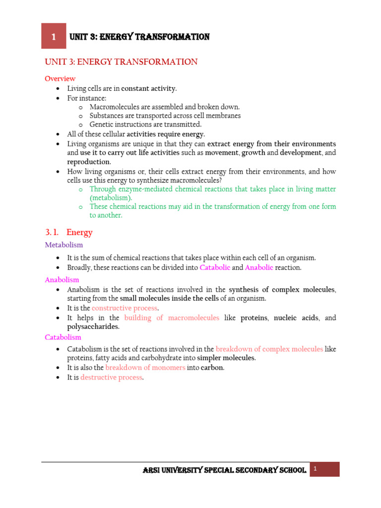 UNIT 3_Energy Transformation. Final (2) (1) | PDF | Cellular ...