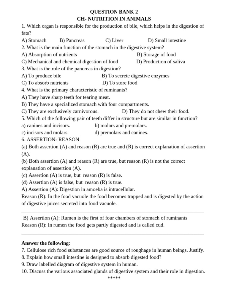 Question Bank 2, CH 9, Class 7 | PDF
