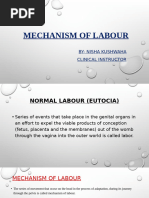 Mechanism of Labour: LOA & ROA Explained | PDF | Pelvis | Childbirth