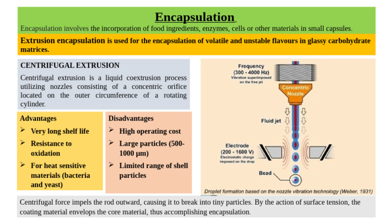 Extrusion Encapsulation | PDF