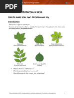 Dichotomous Key Practice Worksheets | PDF | Foreign Language Studies