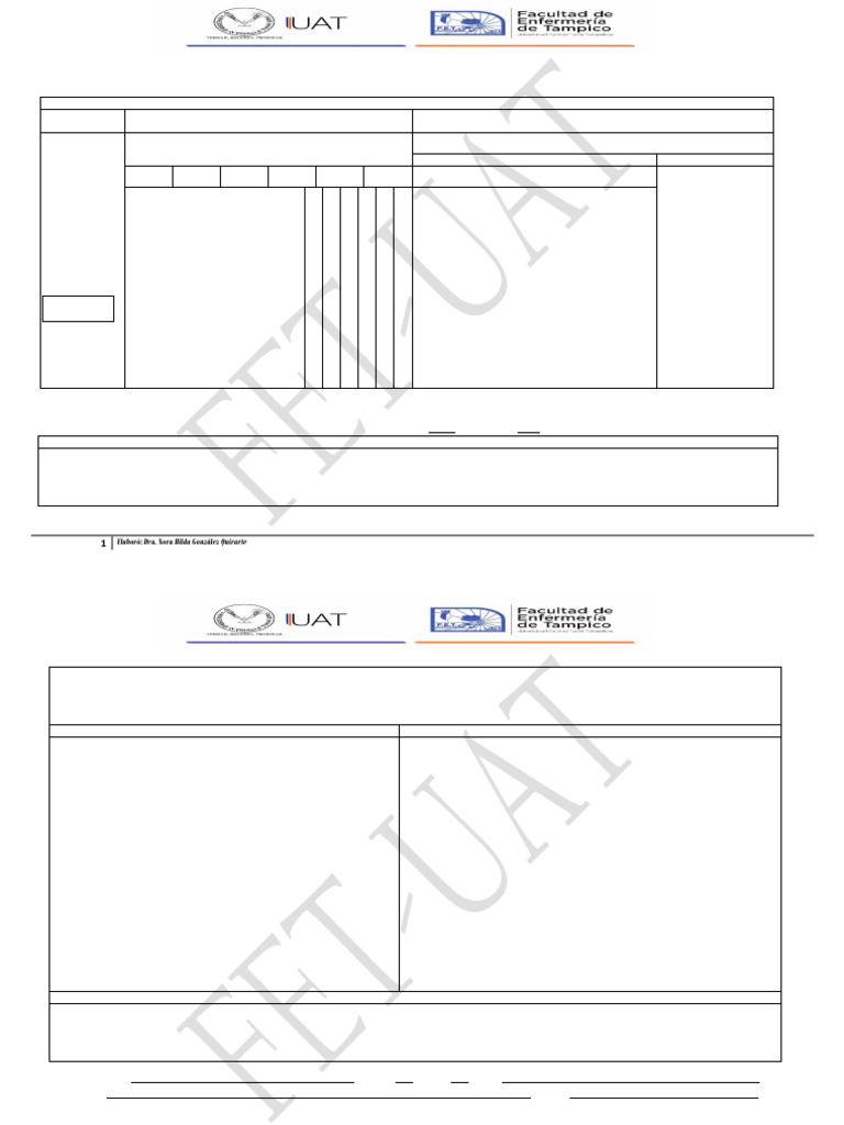 Formato de Plan de Cuidados Fet-Uat-Ii | PDF