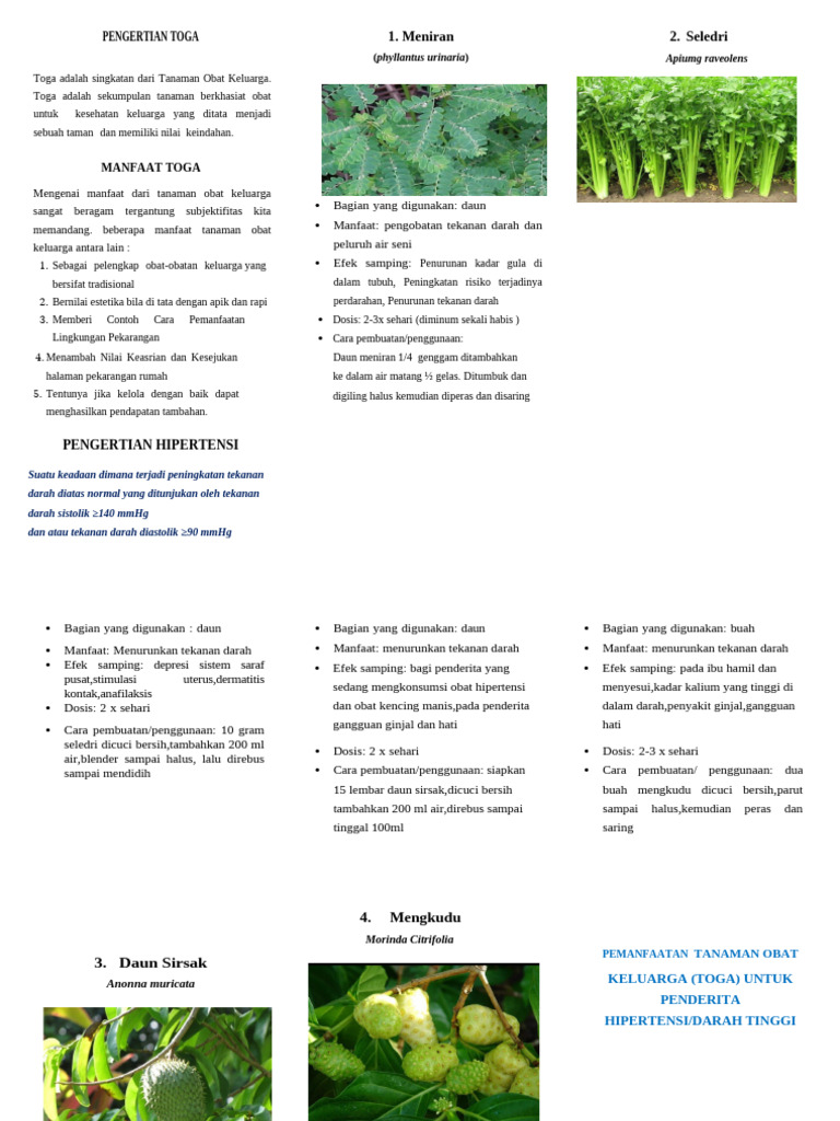 Leaflet TOGA HIPERTENSI 2023 | PDF