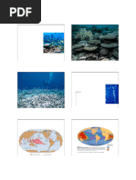 Coral Identification Guide for Divers | PDF | Coral | Coral Reef