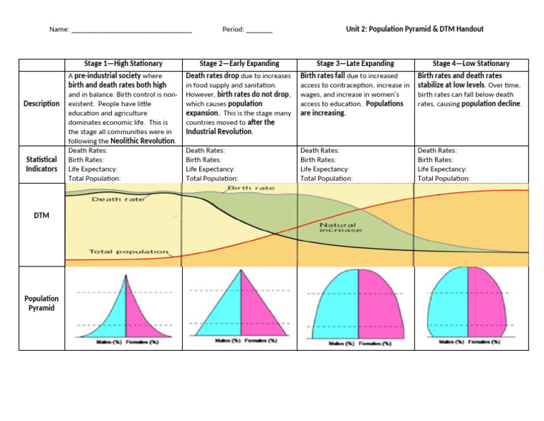 Population Pyramid & DTM Stages Guide | PDF
