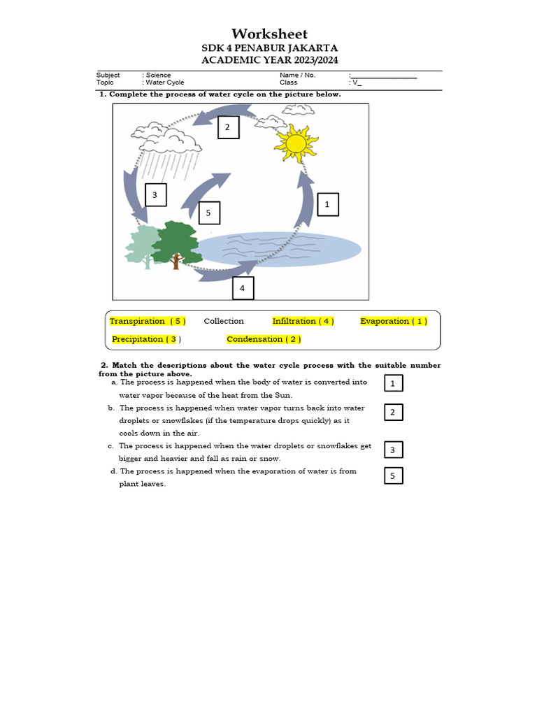 Discussion of 2nd Worksheet Water Cycle | PDF