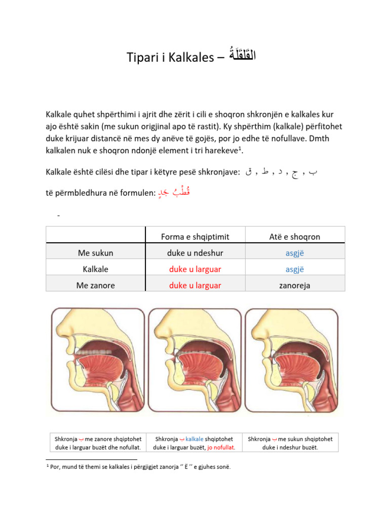 Tipari I KALKALES | PDF