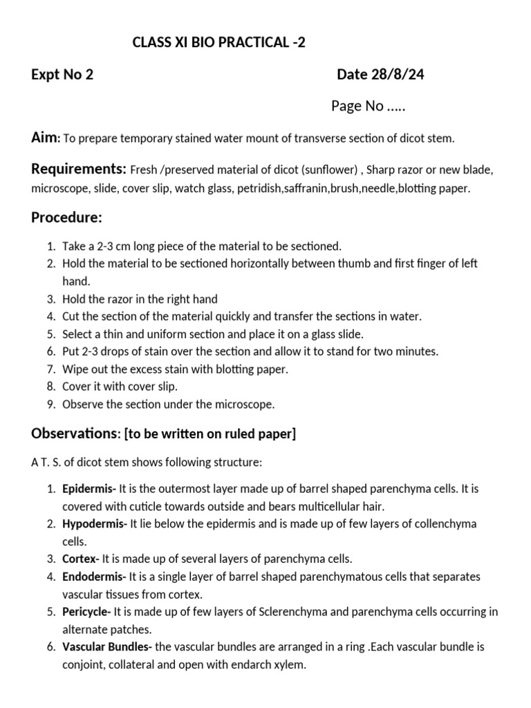 Dicot Stem Transverse Section Practical | PDF | Plant Stem | Microscopy