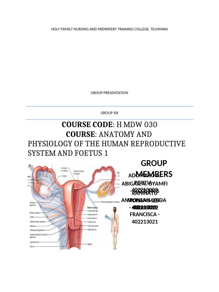 Anatomy of Foetus Group Six | PDF | Uterus | Pregnancy