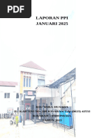 Program Ppi 2025 | PDF